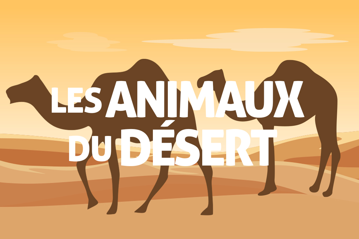 Les animaux du désert | Quipoquiz