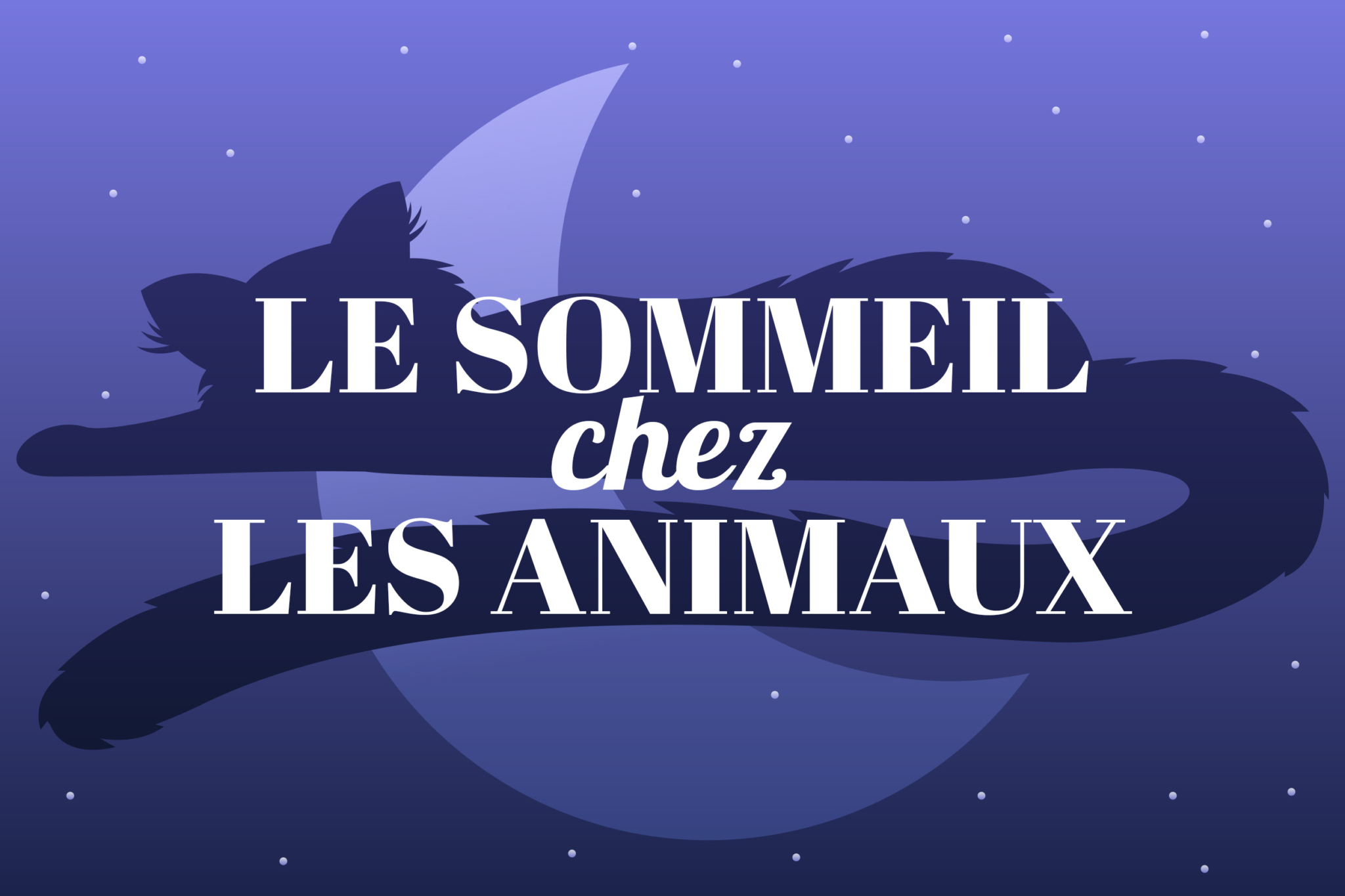 Animal Sleeping Habits Quipoquiz