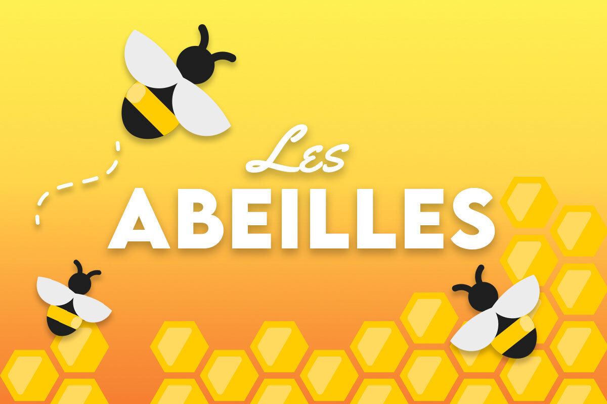 Les abeilles | Quipoquiz