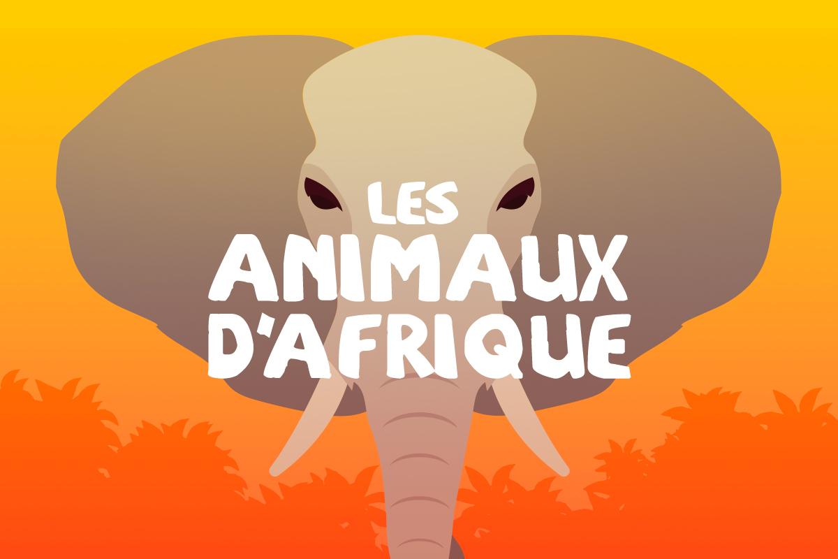 les animaux d'Afrique | Quipoquiz